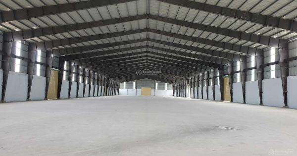 Cho thuê kho xưởng 5.000m2, 10.000m2 đường Quốc Lộ 51, xã Long An, Long ...