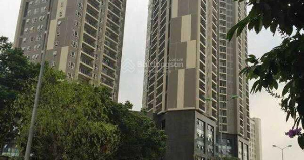 Tôi cần bán căn hộ 116m2 toà nhà N04 - UDIC Complex, Hoàng Đạo Thúy ...