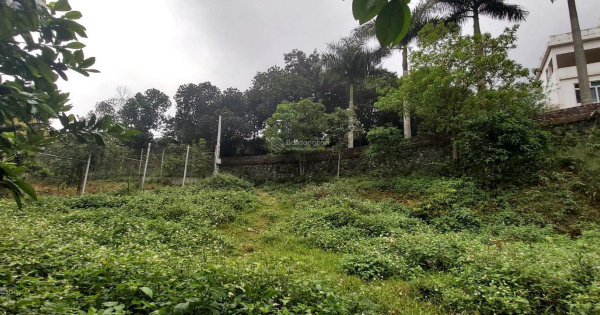 Bán lô đất 2457m2 rẻ nhất thị trường nghỉ dưỡng Thạch Thất(Hoà Lạc) cắt lỗ không còn gì hơn 3tr/m2