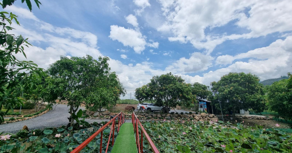 Bán farm tại Diên Khánh sổ đỏ đường oto, đã xây dựng cải tạo rất đẹp ...