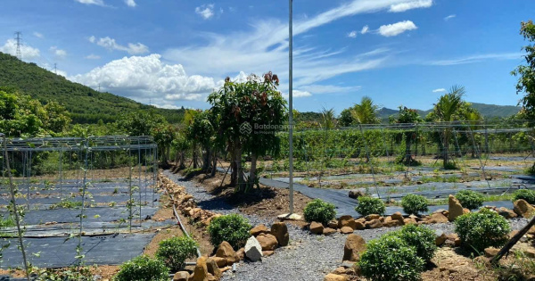 Bán farm đã cải tạo rất đẹp đường oto tận nơi, sổ đầy đủ tại Diên Khánh ...