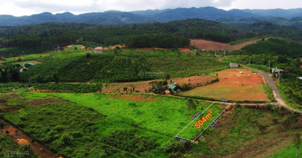 Cần bán 500m2 view rừng thông B'La, Bảo Lâm