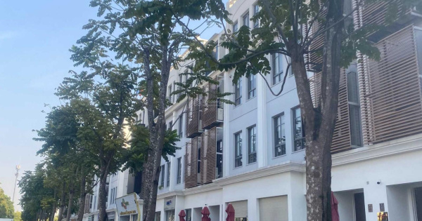 Cho thuê Shophouse Ruby Plaza Hanoi giá ưu đãi - vị trí đẹp, mới nhất T7/2024