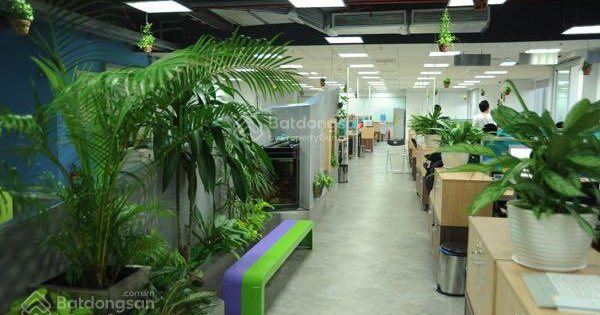 Cho thuê gấp 70 đến 1.500m2 Office hạng A đẹp nhất khu Văn Phú - Hà ...
