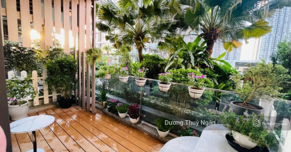 Dự án Sol Forest Ecopark, Xã Xuân Quan, Văn Giang, Hưng Yên, DT 29m2 ...