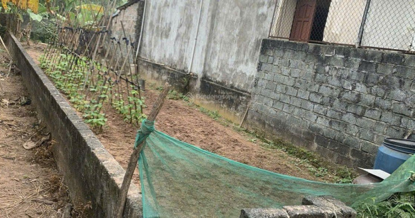 Chỉ với 700 triệu là quý anh chị có ngay mảnh đất 92m2 tại Sài Sơn ...