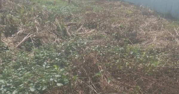 khu dan cu phia bac rach ba buom - Bán - tags