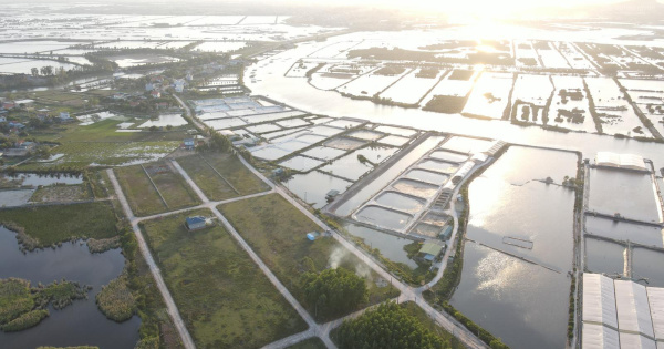 Bán đất nền ven Vin Hạ Long Xanh, xã Hoàng Tân, Quảng Yên