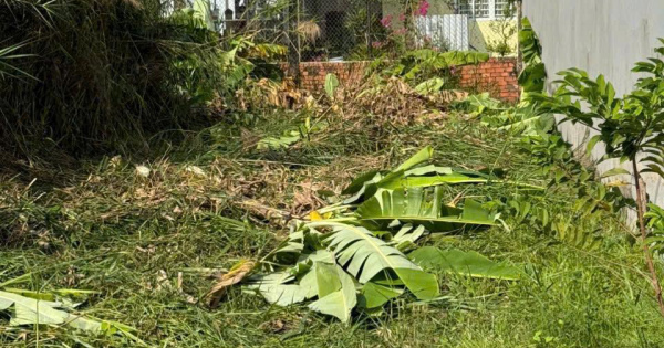 Cần tiền nên bán lại nền đất đối diện KCN Cầu Tràm, Long Trạch, Cần ...