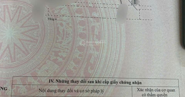 Chung cư xã hội việt sing, lầu 3 sổ hồng 125 triệu, còn lại cho góp ...