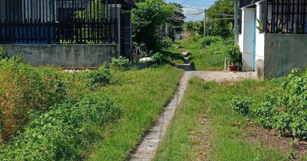 Đất 5x36 sổ riêng, gần ngã 3 Mỹ Hạnh, Mỹ Hạnh Bắc, Đức Hoà, Long An ...