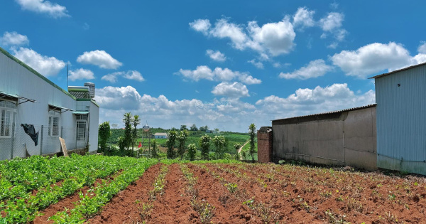 Đất mặt tiền Tản Đà sát trung tâm p2 Tp Bảo Lộc 5x36 Qh full thổ cư ...