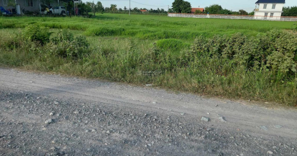 290 triệu, Đất thổ toàn bộ 178m2 ,5x36 thổ tại Bình Hòa Bắc, Đức Huệ ...