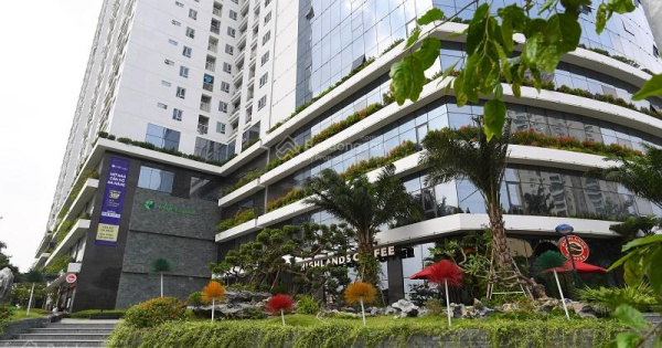 Cho thuê văn phòng chuyên nghiệp ngay tại tòa nhà Ecolife Capital, Tố Hữu cây xanh vô cùng mát mẻ