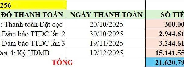 Bất động sản biệt thự liền kề.đường ngọc trai Vinhomes ocenpark 1