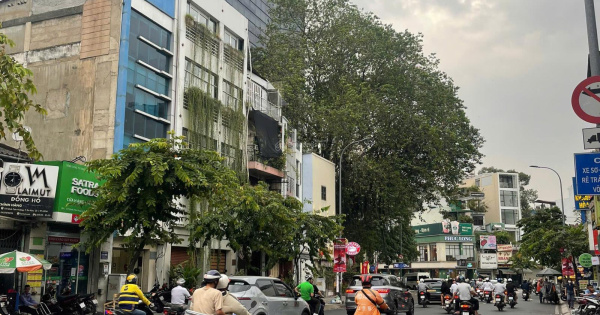 Siêu Phẩm - Mặt Tiền Đinh Tiên Hoàng. Đa Kao. Q1 - Cấp 4 Xây Mới : Hầm ...