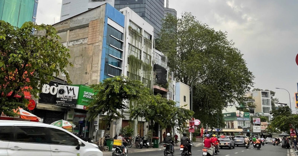 Siêu Phẩm - Mặt Tiền Đinh Tiên Hoàng. Đa Kao. Q1 - Cấp 4 Xây Mới : Hầm ...