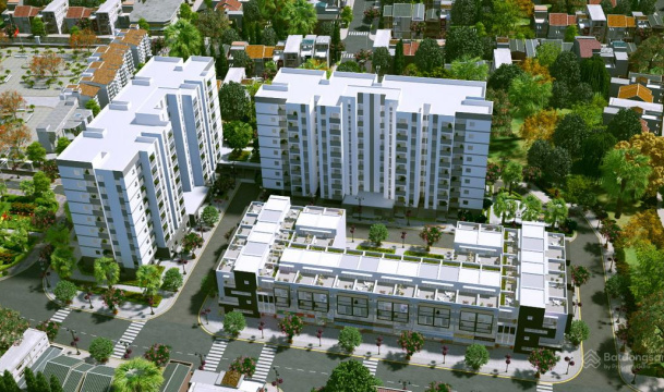 Dự án Simona Home Thành phố Quy Nhơn | Mặt bằng, chính sách, giá bán T1/2026