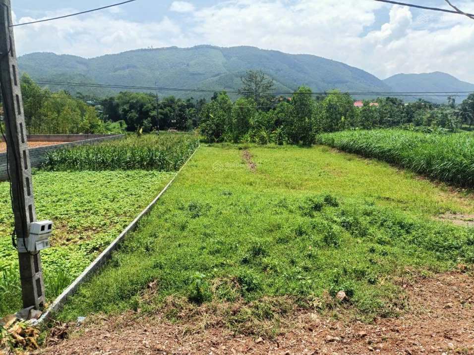 Bán 152,5m2 full đất ở giá gần tỷ, tại đường Tỉnh Lộ 317 Phú Thọ. Cách K9 chỉ vài km, view Sông Đà