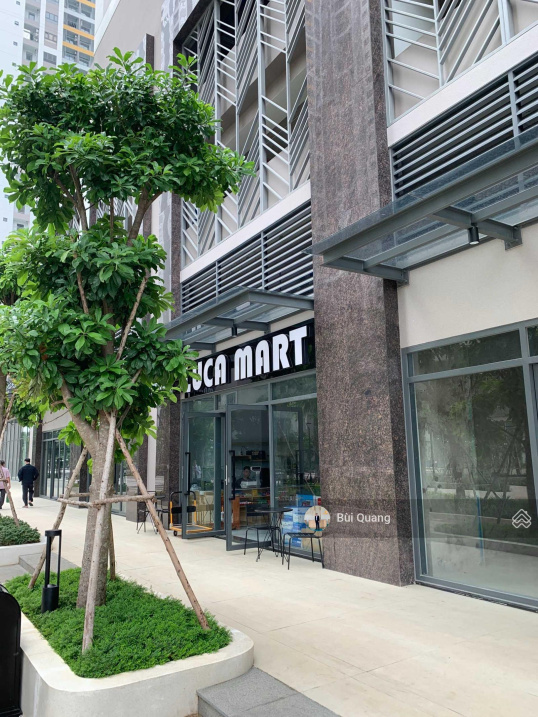 Chính chủ bán Shophouse Q7 Riverside mặt tiền 9m, liền kề PMH, gà đẻ ...