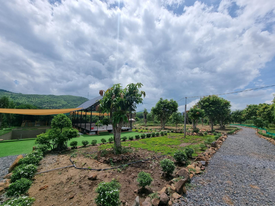 Bán farm tại Diên Khánh sổ đỏ đường oto, đã xây dựng cải tạo rất đẹp ...