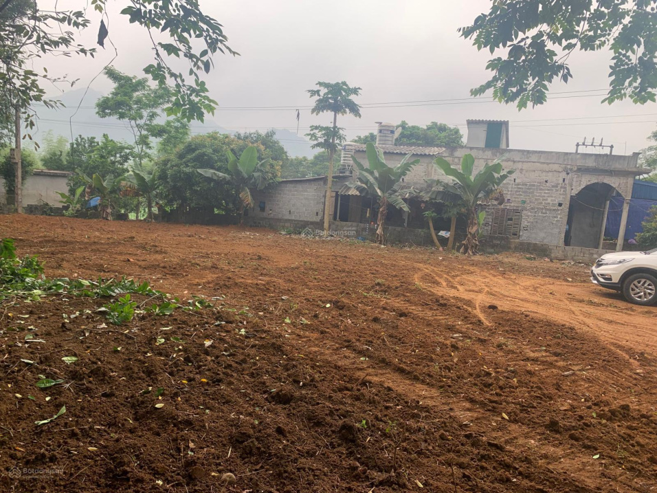 Cần bán 960m2 có 840m2 ONT tại Nam Thương Kim Bôi Hoà Bình, view cánh ...