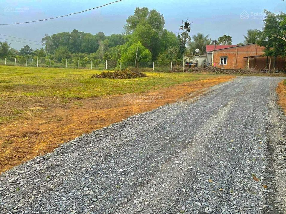 Tôi muốn bán lô đất vườn 14x74 đường 6m nằm ngay khu dân cư sát trung ...