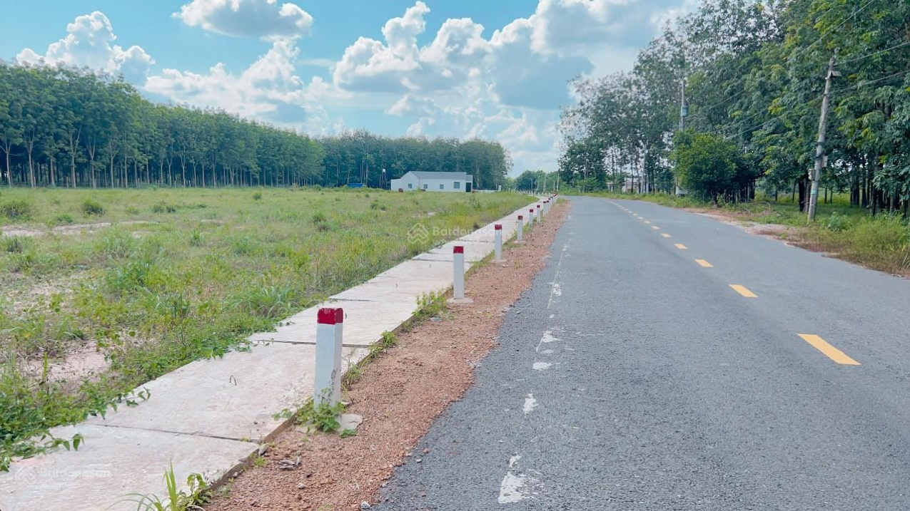 Đang còn vài nền sát QL14 Chơn Thành, giá cực rẻ đường nhựa mới tinh ...