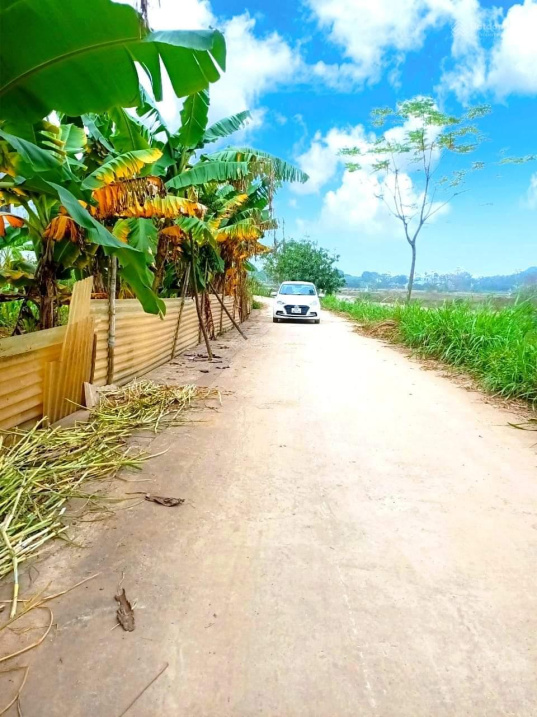 Cần bán lô đất hoa hậu 540m2/240m2 TC tại Phú Cát Quốc Oai Hà Nội view ...