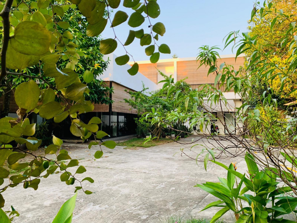 Nhà vườn Minh Trí, Sóc Sơn. Đường trước nhà xe 16c vào nhà được