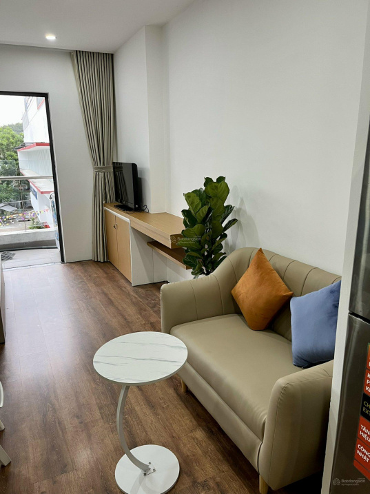 Cho thuê căn hộ The Everrich Infinity Q5, liền kề Hado Centrosa Q10 ...