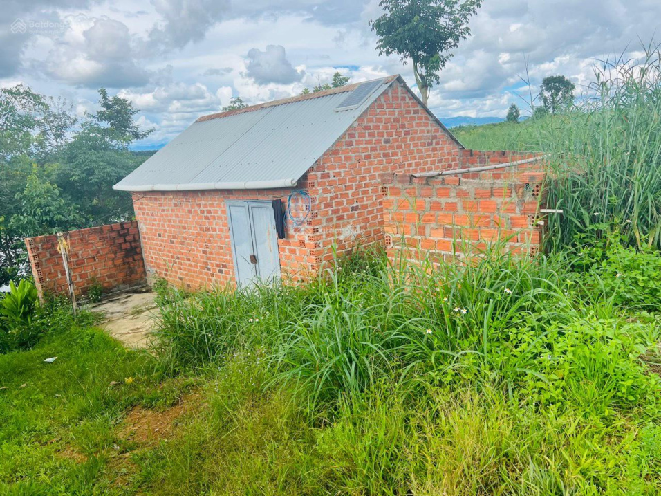 Bán 11643,1m2 đất trồng hơn 1200 cây cf và các loại cây ăn trái, giáp ...