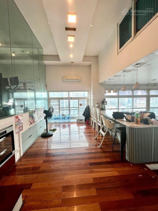 Hiếm! Penthouse Cienco1 diện tích 300m2 thiết kế 5PN 4WC view đẹp giá ...