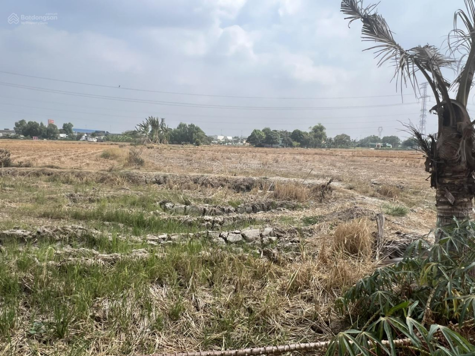 Bán đất Tân Bửu, Bến Lức, Long An 20.335m2 giá 3,5tr/m cách đường ...