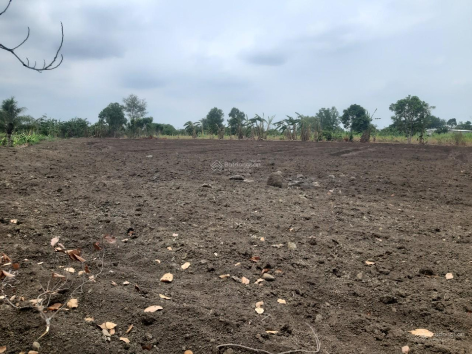 Cần bán đất view suối xã Bàu Cạn Huyện Long Thành Tỉnh Đồng Nai-S36