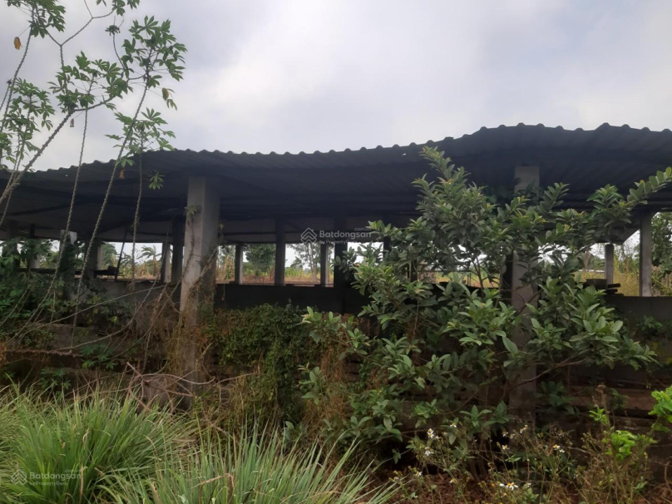 Cần bán đất view suối xã Bàu Cạn Huyện Long Thành Tỉnh Đồng Nai-S36