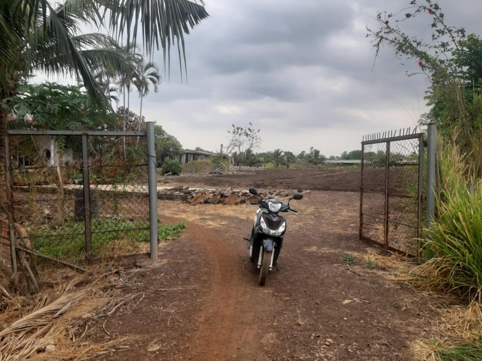 Cần bán đất view suối xã Bàu Cạn Huyện Long Thành Tỉnh Đồng Nai-S36