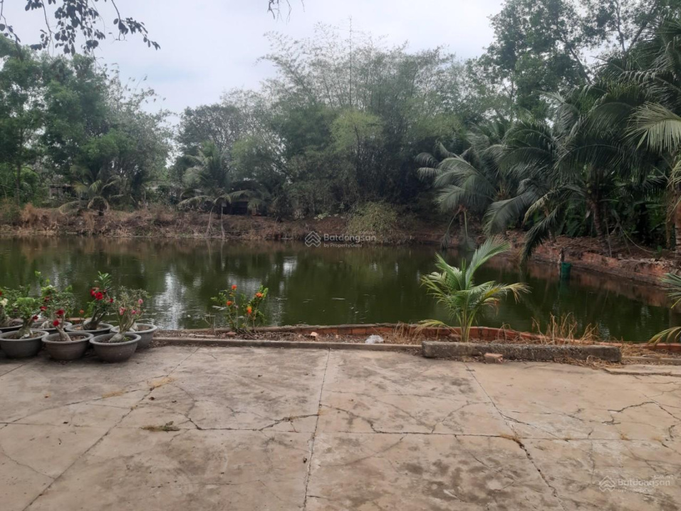 Cần bán đất view suối xã Bàu Cạn Huyện Long Thành Tỉnh Đồng Nai-S36