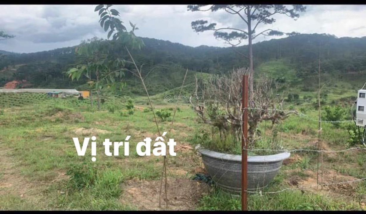 Chính chủ bán đất Đạ Nhim QL 27C gần Zoodoo