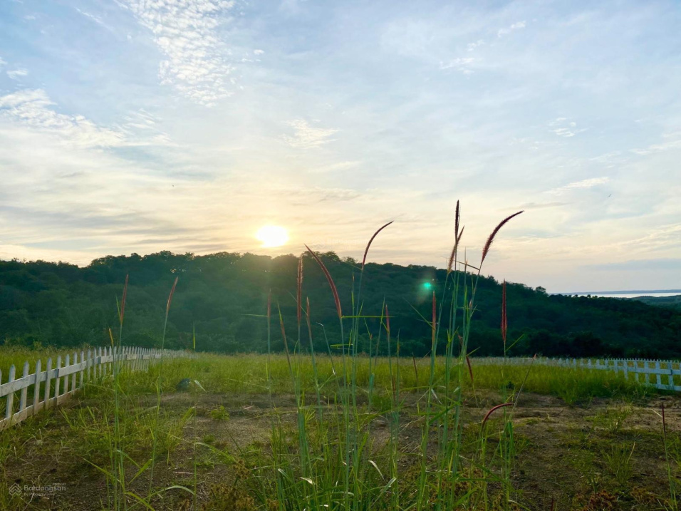 Chính chủ cần bán đất view hồ Trị An & ngắm hoàng hôn xuống núi cực chill