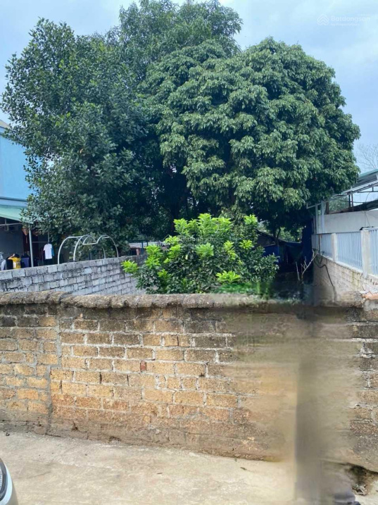 150m2 Đất Sơn Đông gần đường TL82, giá cực hợp lý đầu tư