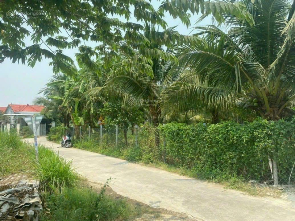 Bán đất 3 mặt tiền QH đường 20m, cách 200m Võ Nguyên Giáp TT Diên Toàn - 3 cạnh mt 15m, 5m sau 5m