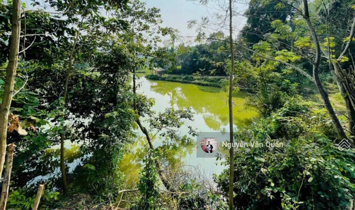 F0! Đất bám hồ giá hơn 1 triệu 1m2 tại Lương Sơn! Đất đẹp + giá quá đẹp ...