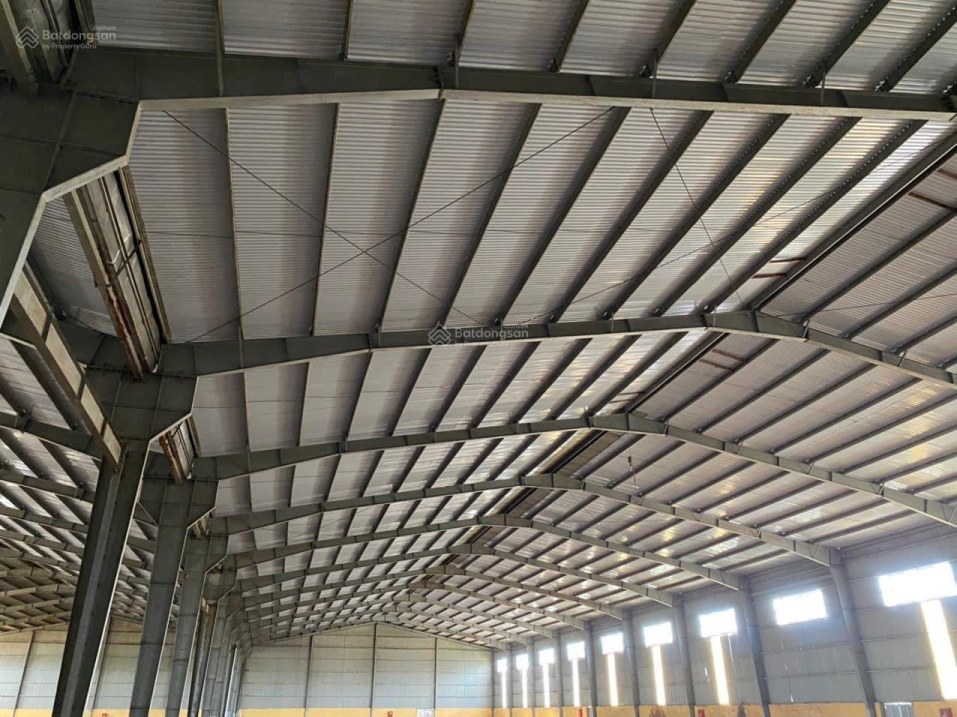 Cho thuê Kho Thời Vụ làm Sầu Riêng - diện tích 20.000m2 KCN Tâm Thắng ...