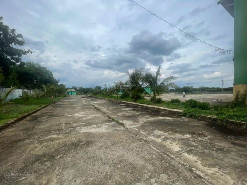 Cho thuê Kho Thời Vụ làm Sầu Riêng - diện tích 20.000m2 KCN Tâm Thắng ...