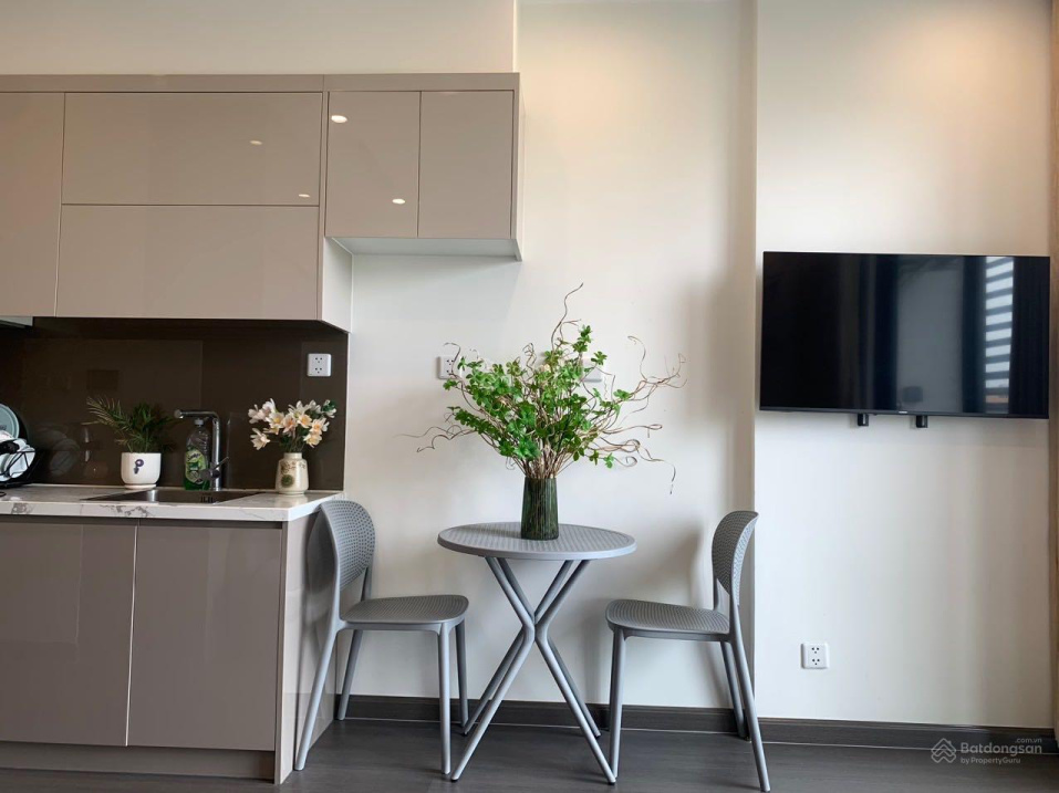 Chốt nhanh! Căn studio Tonkin, full nội thất đầu tư homestay siêu xinh ...