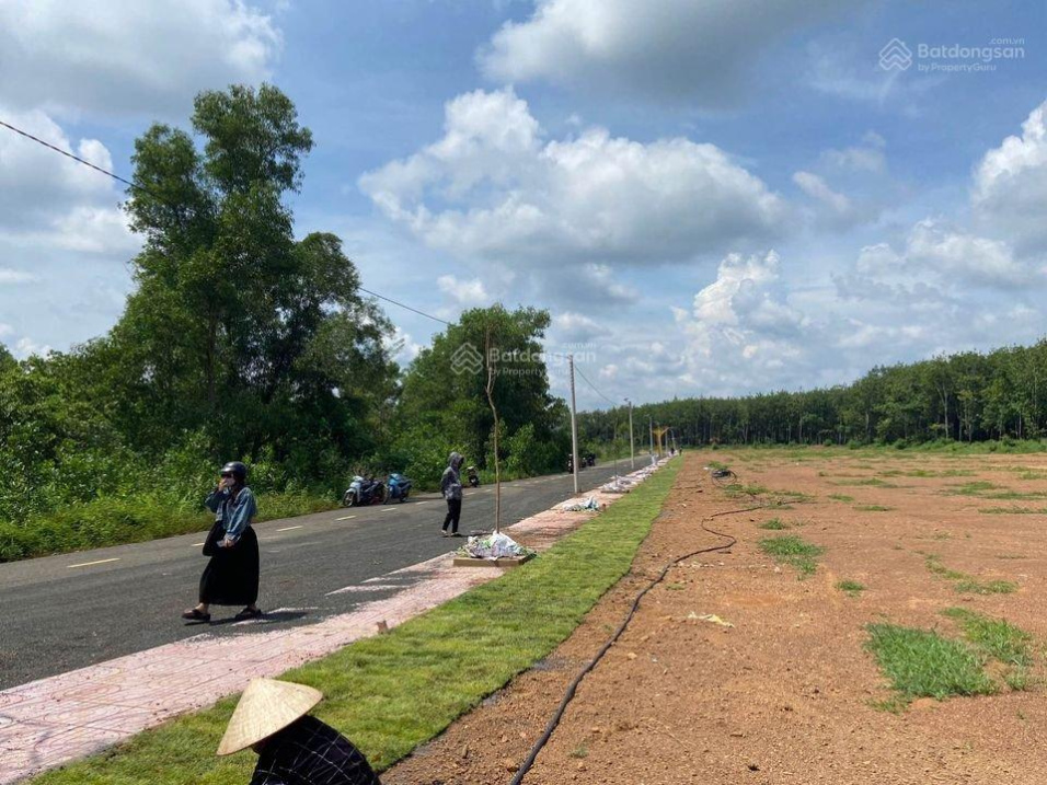 Kẹt tiền cần bán lô đất 250m2 có 100m2 thổ cư cạnh Tp Đồng Xoài, giáp ...