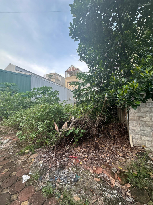 Bán 236m đất khu 31ha Trâu Quỳ đố diện nhà văn hoá mặt tiền 12m giá ...