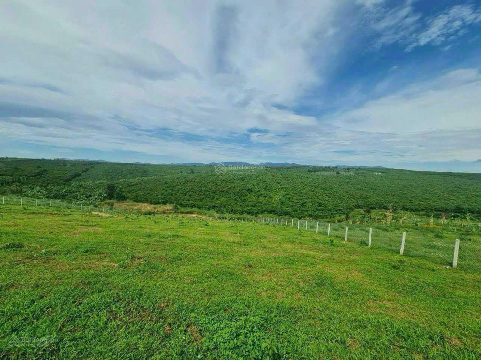 Cắt lỗ 300-400tr/nền, cách chợ ngã 5 Đambri 5p, cách cao tốc khoảng 2p xung quanh đầy đủ tiện ích.