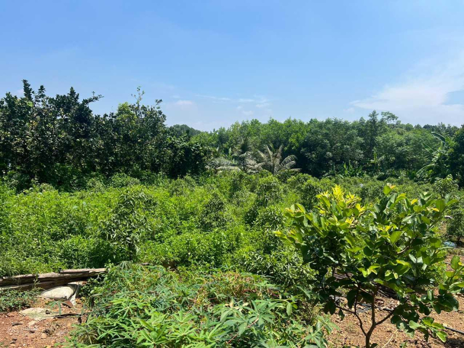 Cần bán 2500m2. Có 300m2 đất ở + CLN. Thôn 7 - Ba Trại - BV - HN. Giá ...